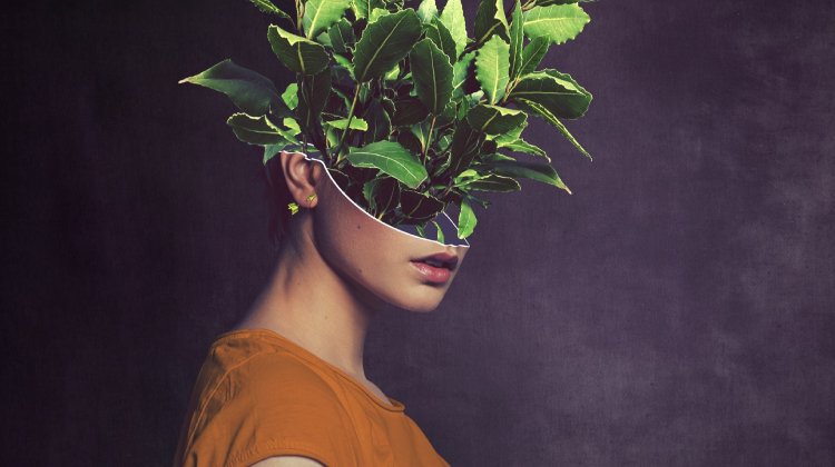 Book SAP Tickets - Plays Tickets - Seating plan, Show times, Reviews ...